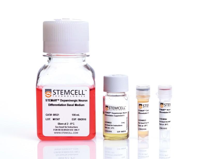 STEMdiff Midbrain Neuron Differentiation Kit | 製品情報 | ベリタス